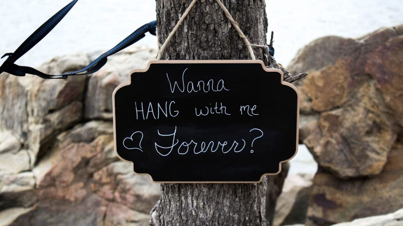 Leap year 2024: 8 unique traditions and customs every 29 February