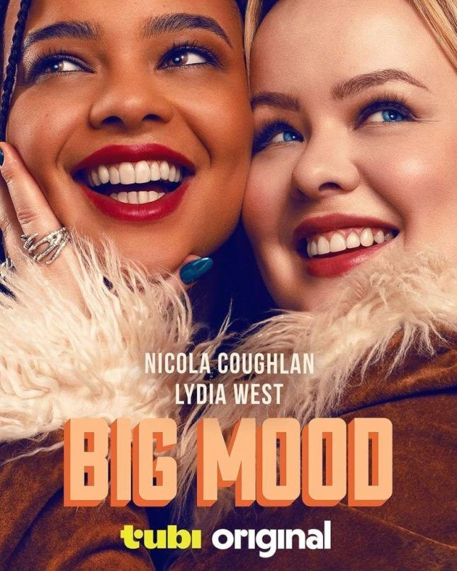 Has Big Mood Been Renewed For Season 2? Here Is What We Know