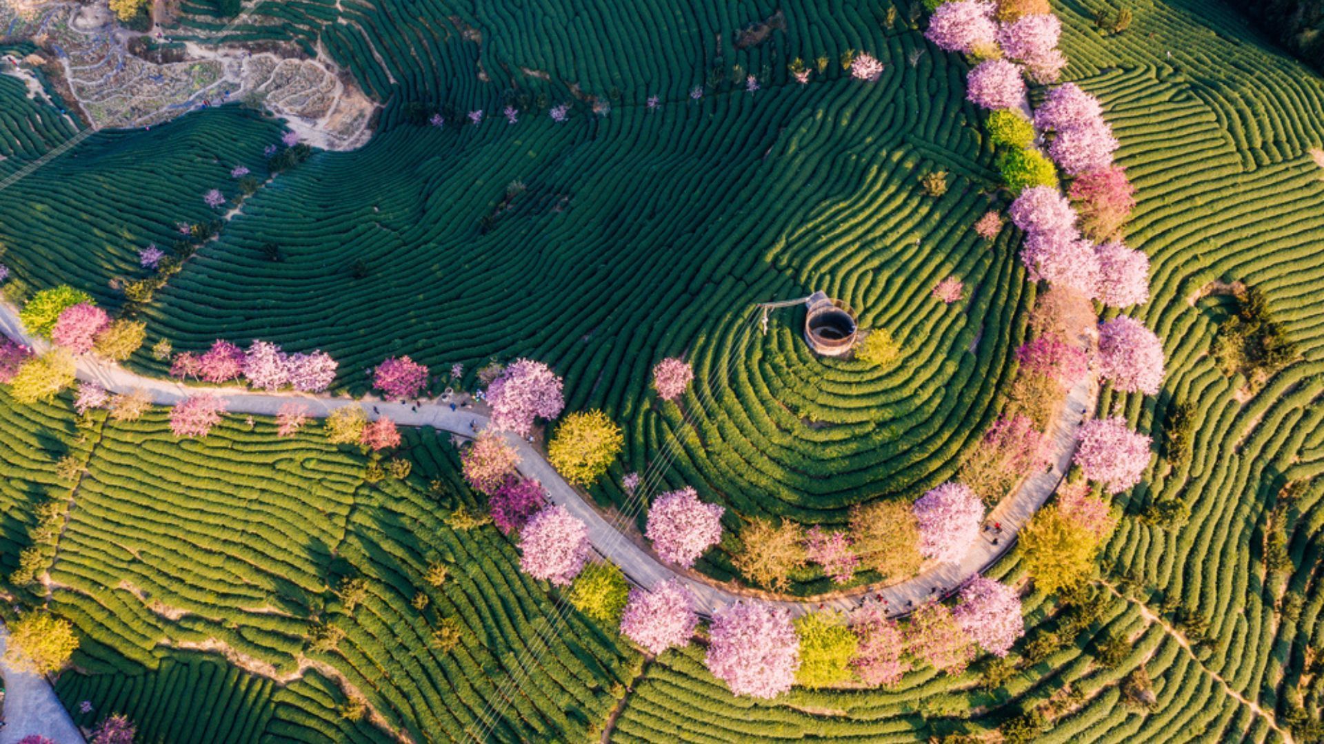 UNESCO Global Geoparks Network expanded with 18 new additions