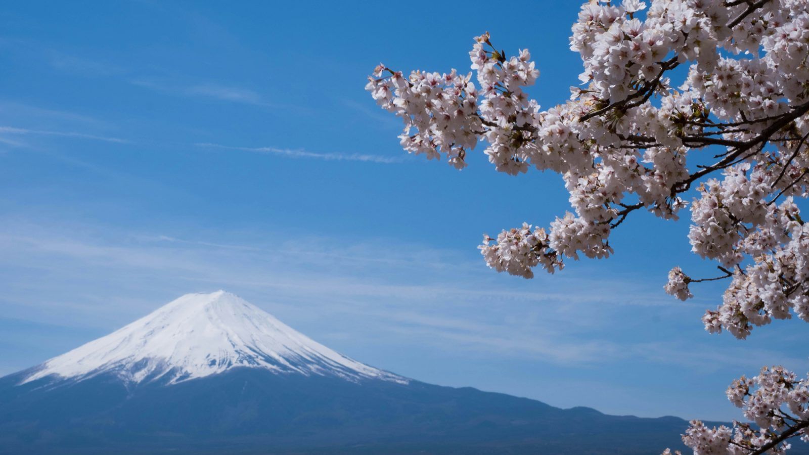 Town Set to Block Views of Mt Fuji Due to Poor Etiquette from Tourists