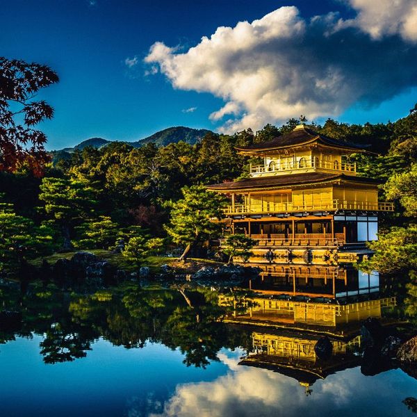 10 breathtaking forest retreats to get away from it all