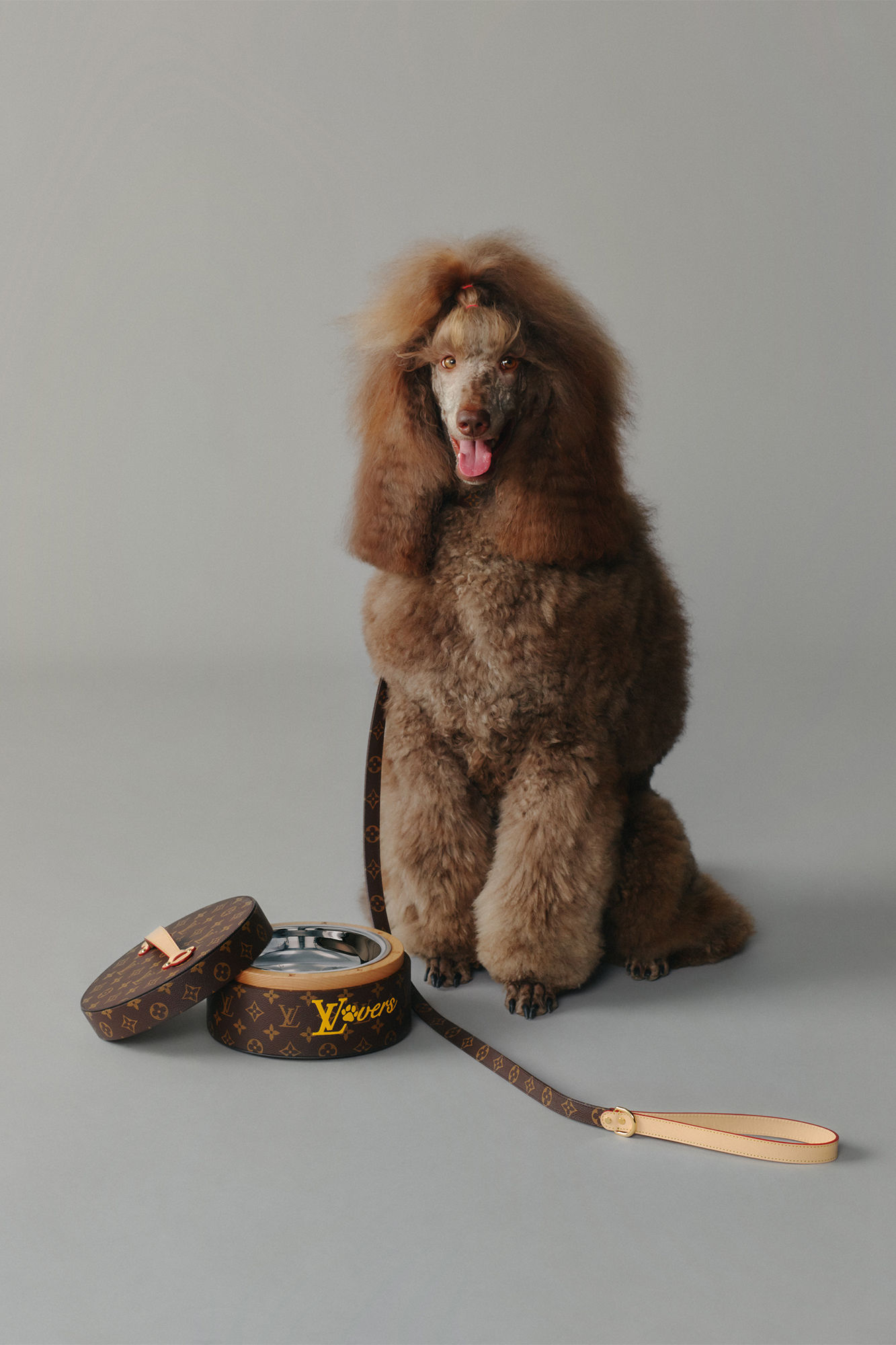 Louis Vuitton's Men’s SS25 Pre-Collection Is for All the "DOG LVERS"