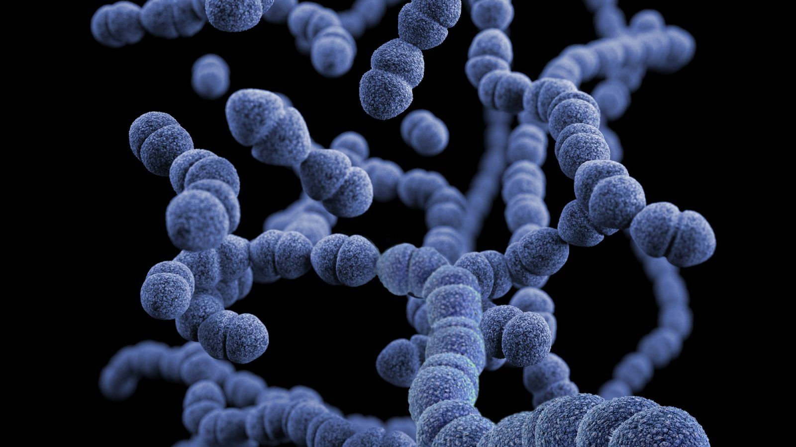 "Flesh-Eating" Streptococcal Outbreak Hits Japan