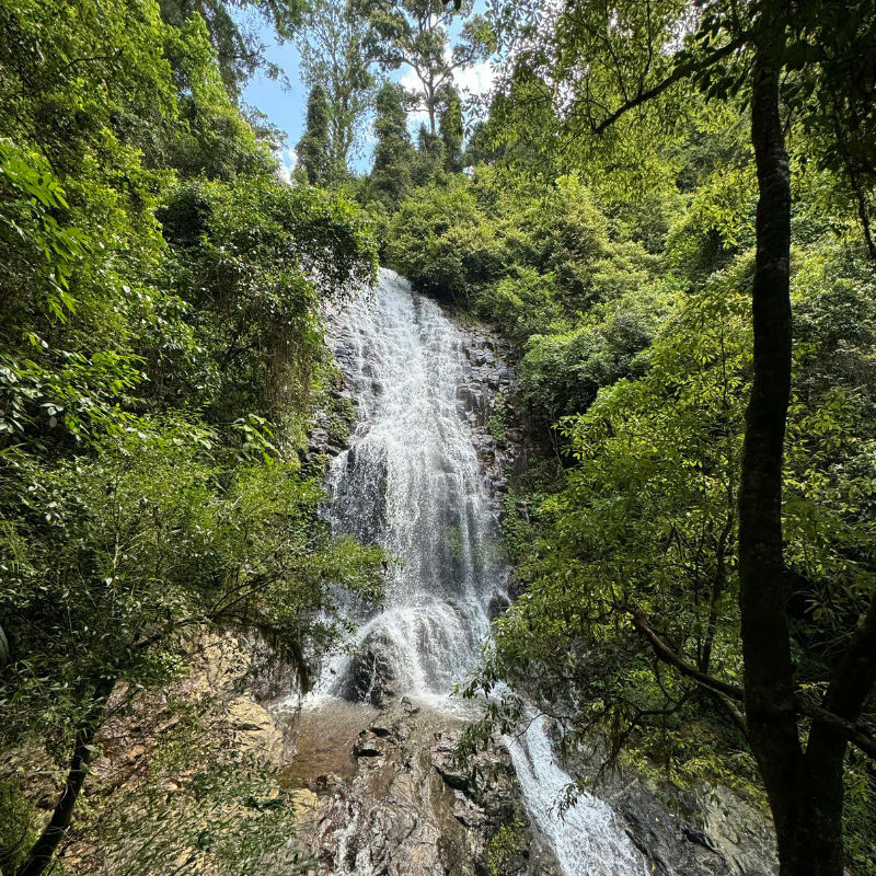 10 breathtaking forest retreats to get away from it all