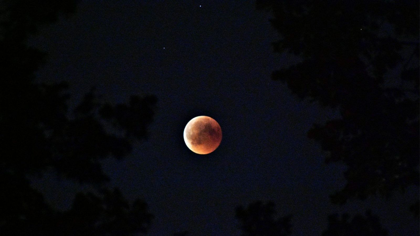 Full Buck Moon: Know its spiritual meaning and effects on zodiac signs