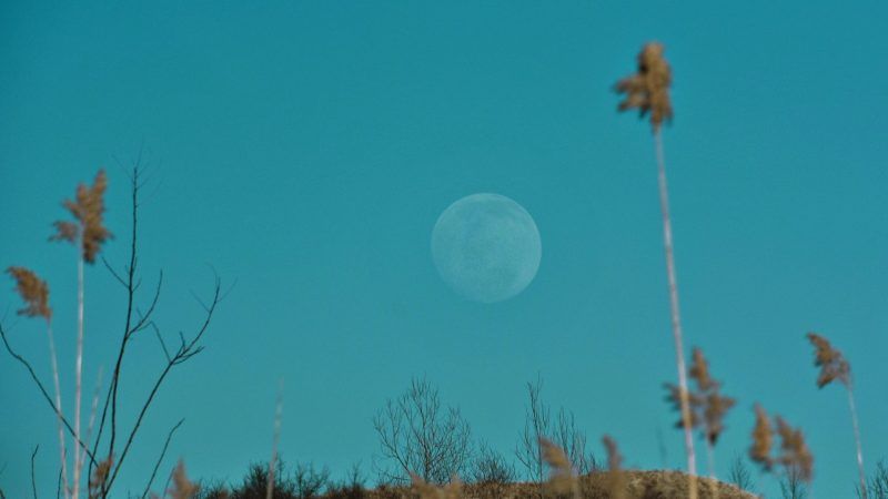 Full Buck Moon: Know its spiritual meaning and effects on zodiac signs