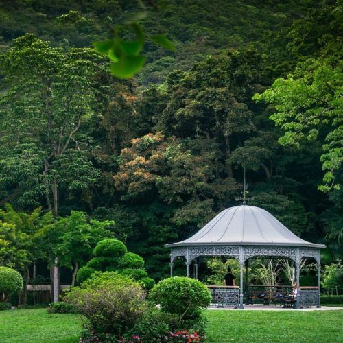Hong Kong's Long Valley Nature Park finally opens to public. Details here