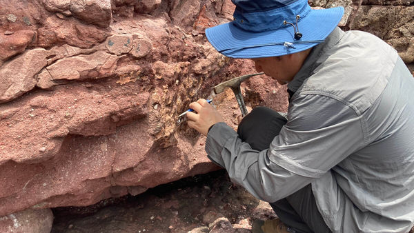 How to see the first dinosaur bone fossils discovered in Hong Kong