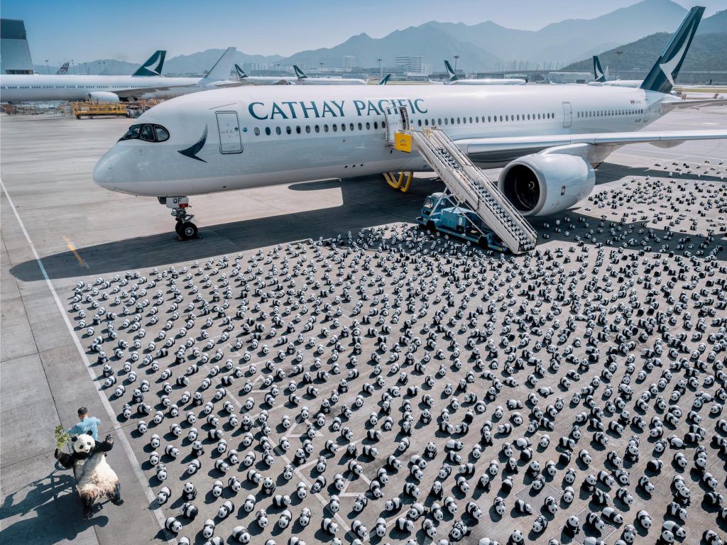 PANDA GO! FEST is taking over Central Market this February