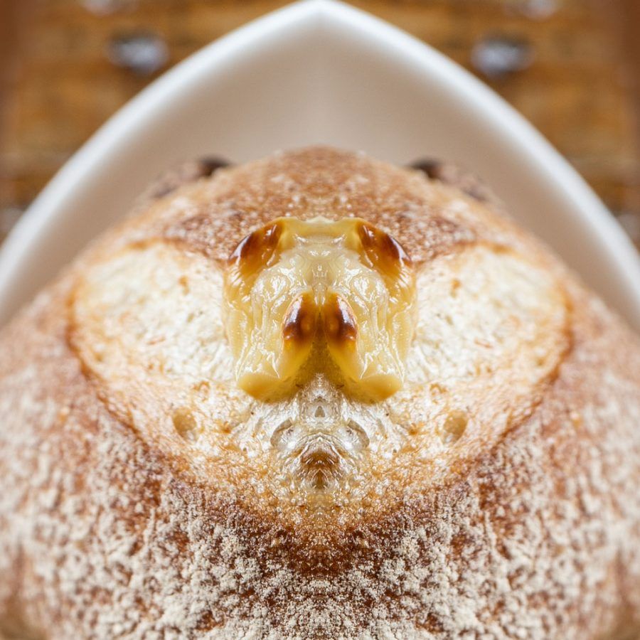 GREAT FOOD HALL debuts "Food x Art" concept for 25th anniversary