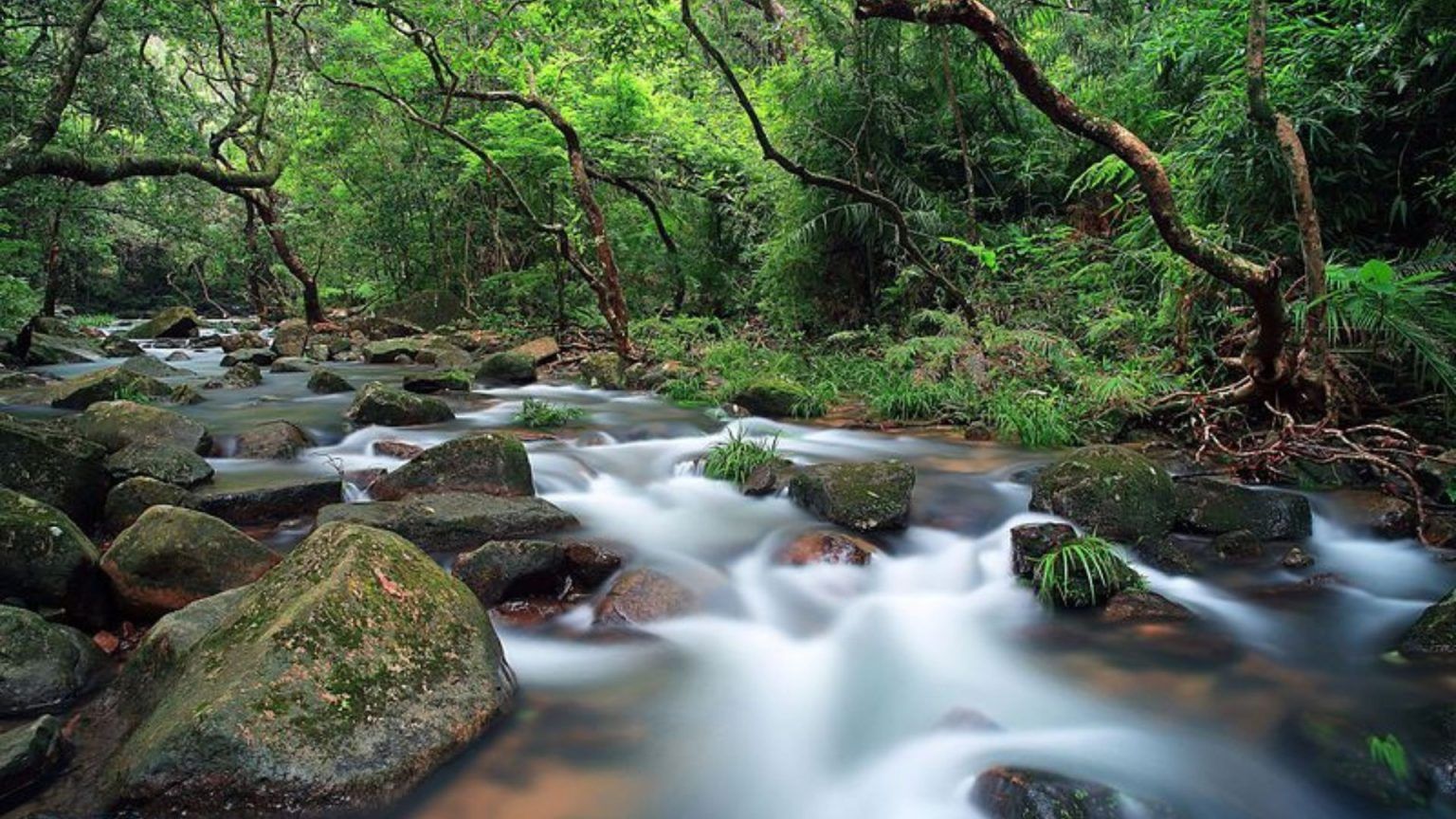 Tai Po Market: A guide on where to shop, eat, explore | Lifestyle Asia HK