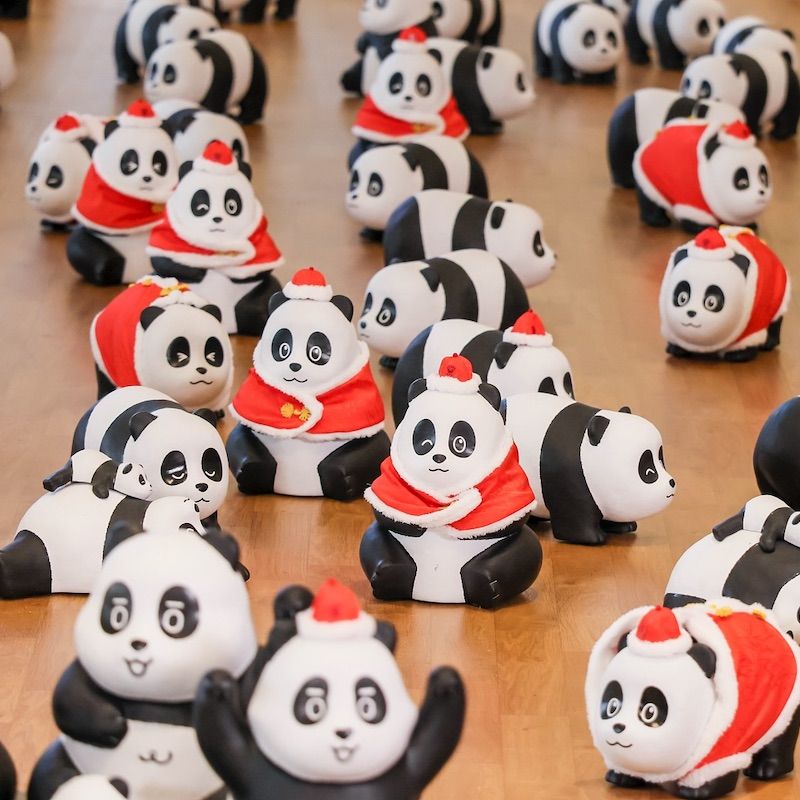 PANDA GO! FEST is taking over Central Market this February