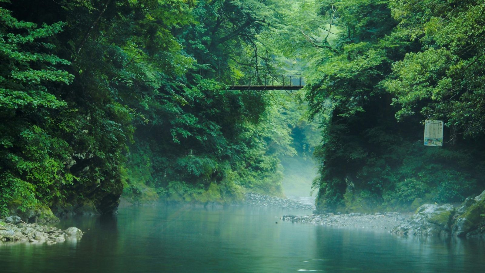 Discovering Japan’s forests: A guide to forest bathing | Lifestyle Asia HK