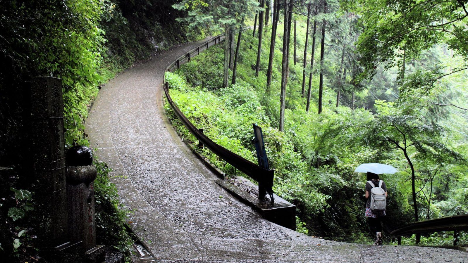 Discovering Japan’s forests: A guide to forest bathing | Lifestyle Asia HK