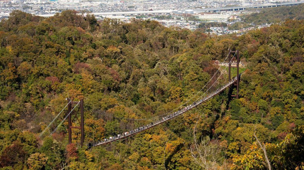 Discovering Japan’s forests: A guide to forest bathing | Lifestyle Asia HK