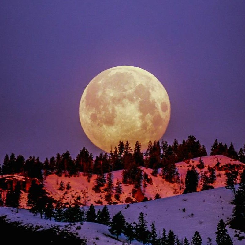 December Cold Moon 2024 and its effects on zodiacs | LSA Hong Kong