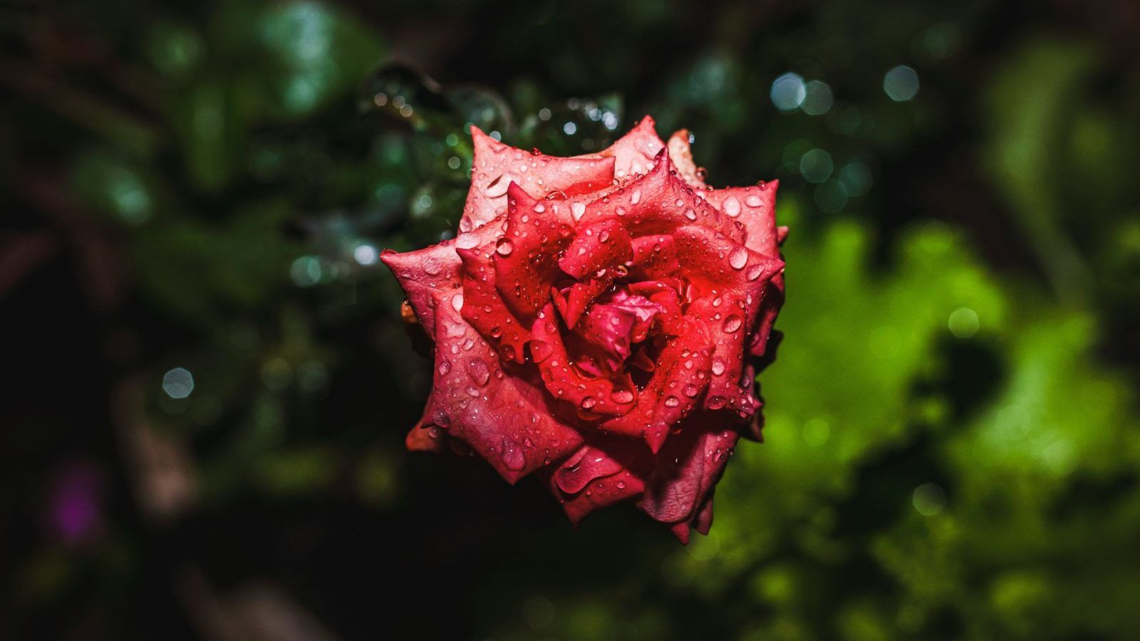 Lucky colours for Year of the Snake 2025, based on Chinese zodiac