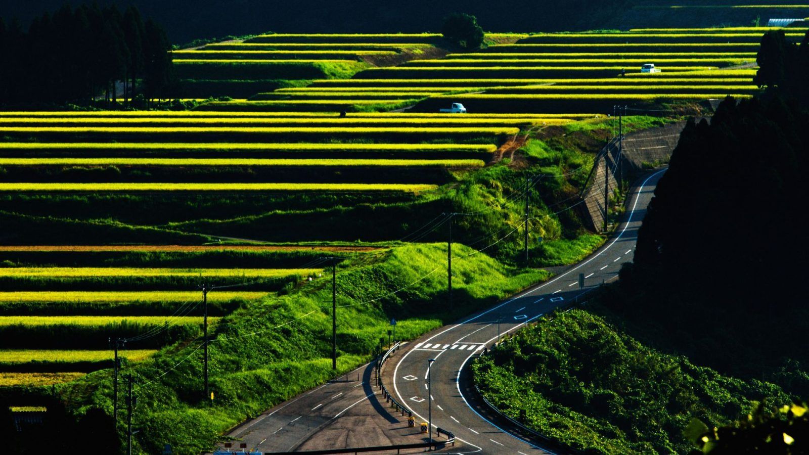 Best time to visit Japan: A seasonal guide to planning the perfect trip ...