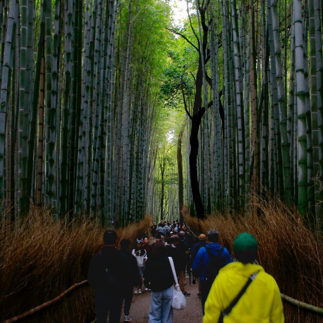 Kyoto to curb overtourism with steep hotel tax increase | Lifestyle Asia HK