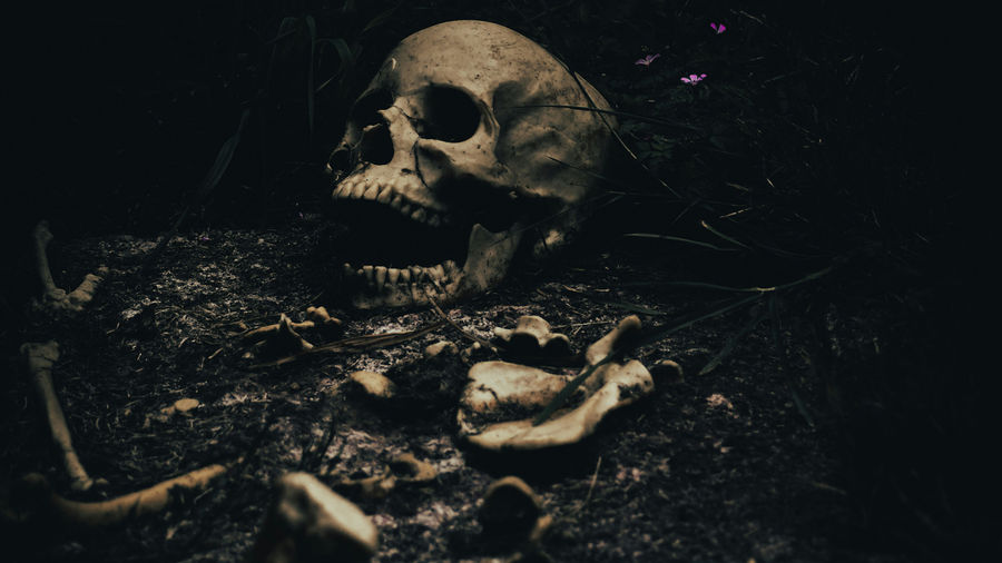 Identity of Serial Killer 'Jack the Ripper' Has Allegedly Been Solved