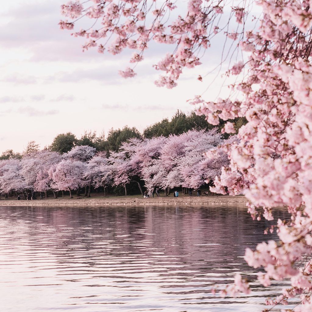 Stanley Hong Kong guide: Where to eat, drink, shop, explore & things to do