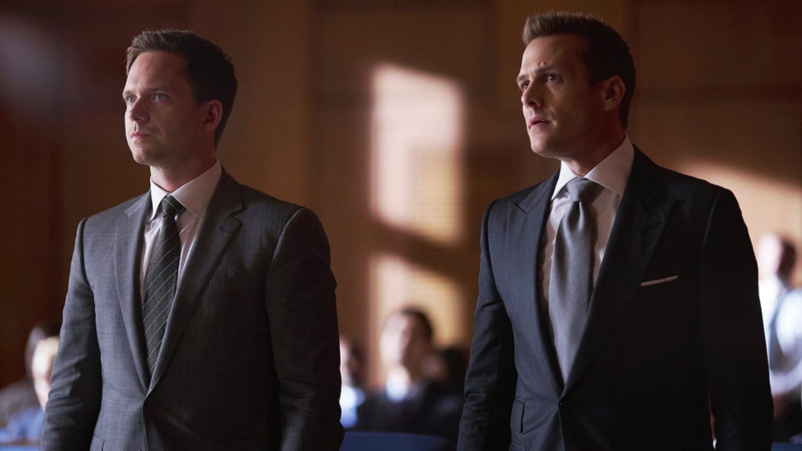 A ranking of the OG Suits actors by their net worth | LSA Hong Kong