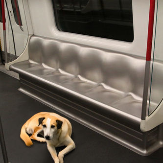 Check out how to watch the livestream of the new pandas at Ocean Park