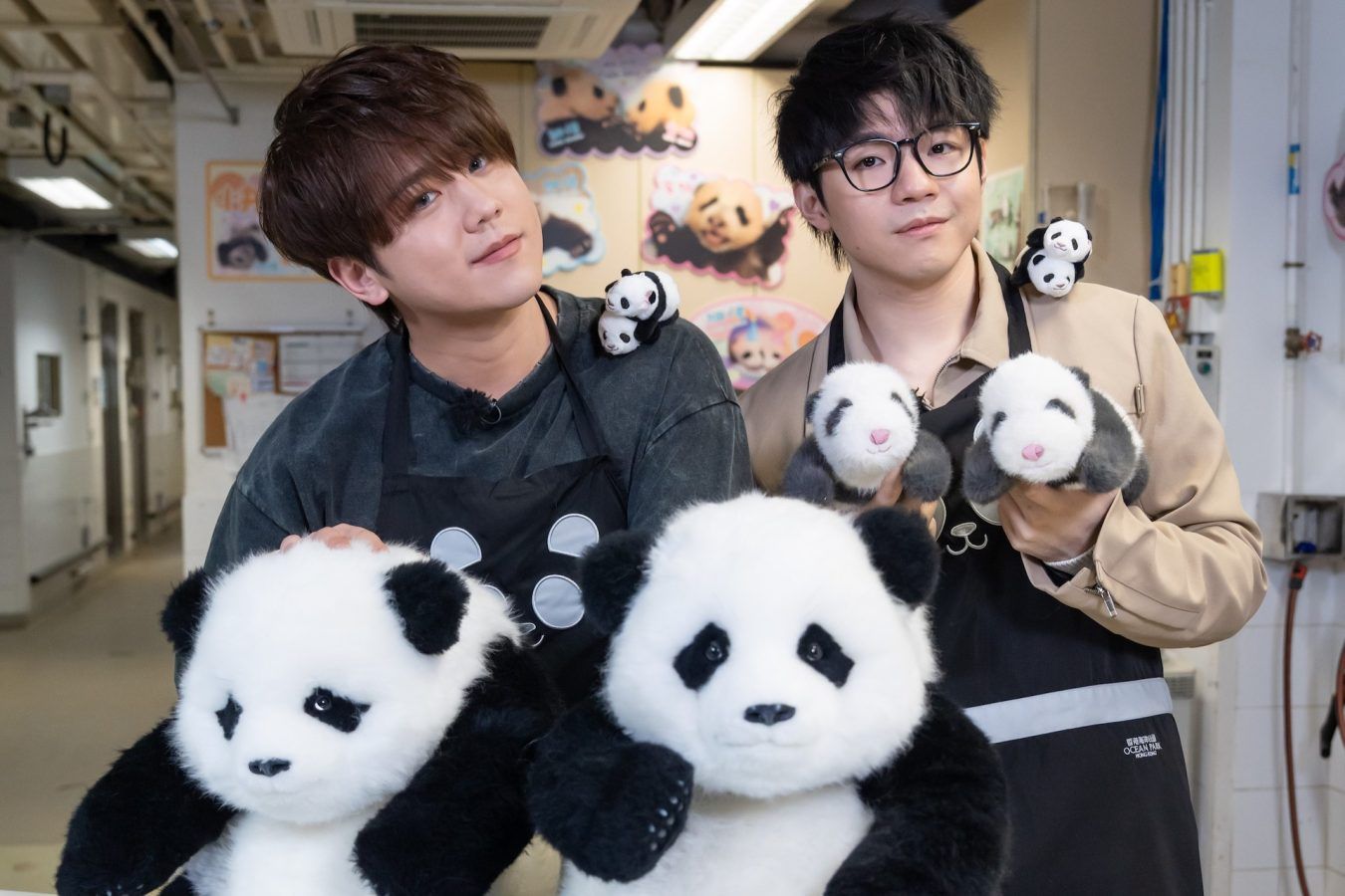 Ocean Park launches official Panda Twins Fan Club with exclusive benefits