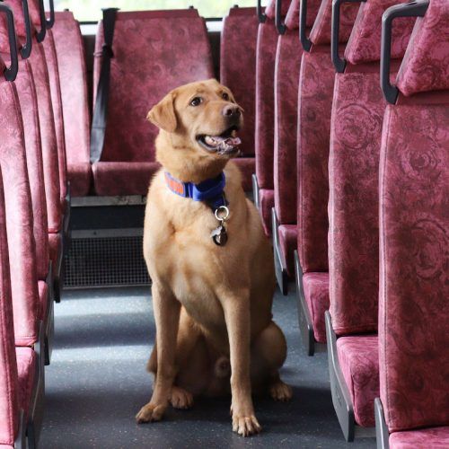 MTR launches Tuen Mun Voyager, first light rail sightseeing tour