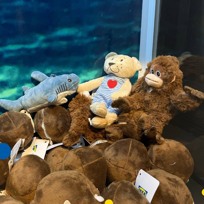 IKEA celebrates 50 Years of Togetherness in Hong Kong