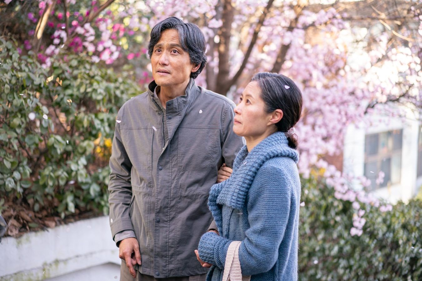 Will When Life Gives You Tangerines have a season 2? | LSA Hong Kong