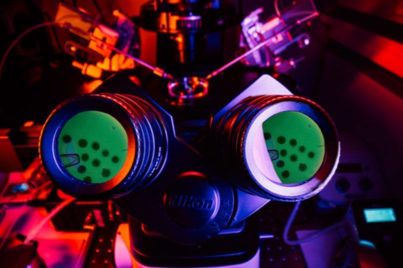 Colossal Biosciences revives the Dire Wolf in first case of de-extinction