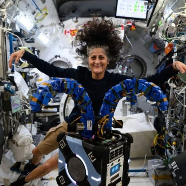 Kennedy family tree: How is RFK Jr. related to JKF? | LSA Singapore