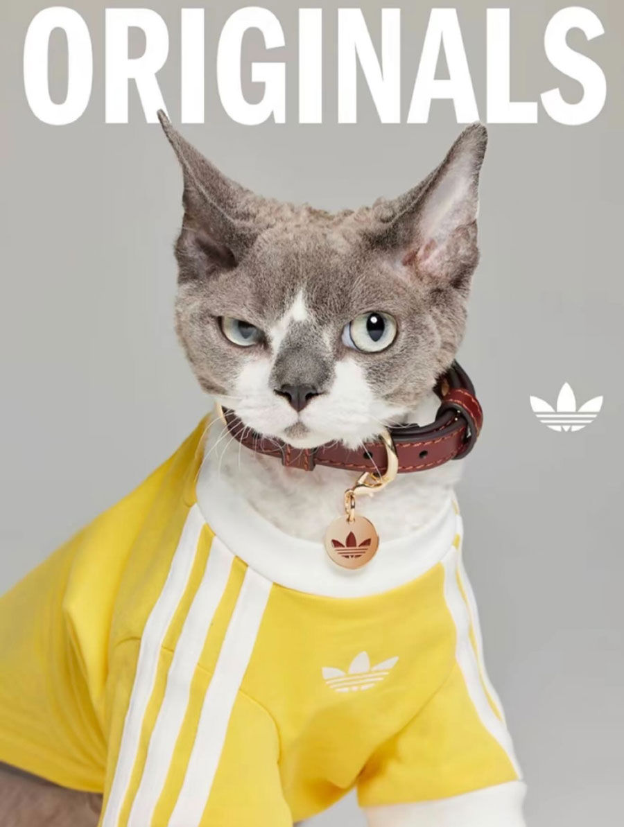 adidas Originals launches Pet Collection for four-legged friends