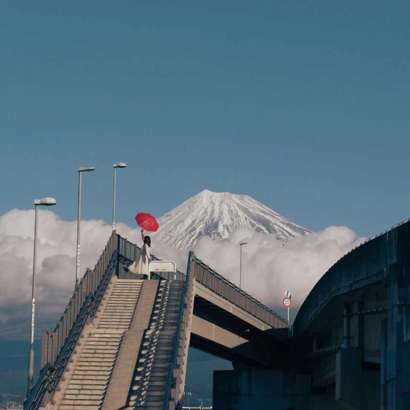 Mt Fuji Dream Bridge becomes victim of overtourism in Japan | LSA HK