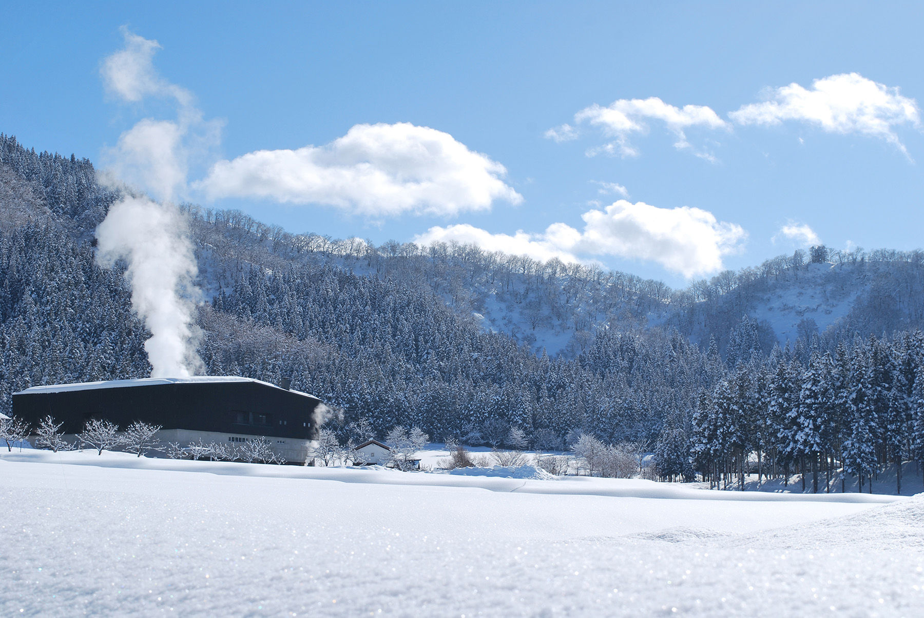 Here’s Your Ultimate Winter Guide to Japan Snow Country | LSA HK