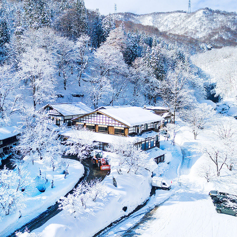 Here’s Your Ultimate Winter Guide to Japan Snow Country | LSA HK