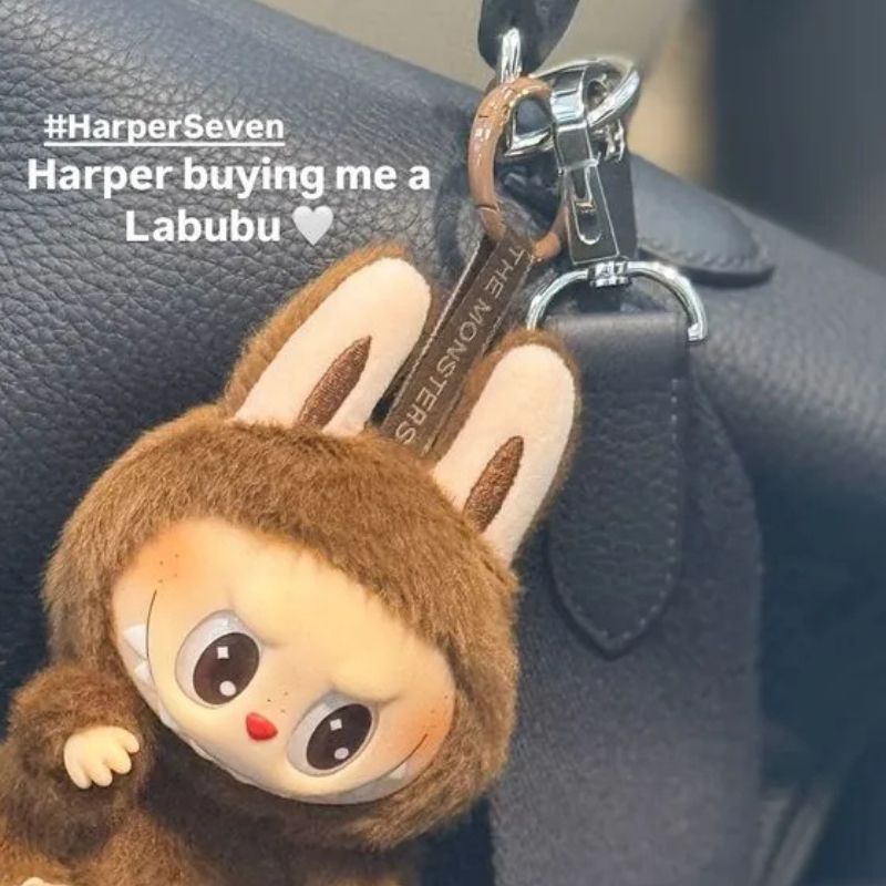 Celebrities and their Labubu dolls — Who's carrying what