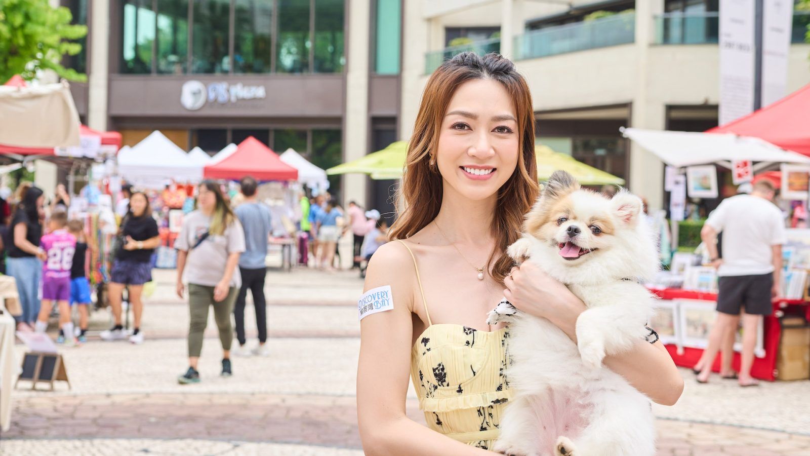 KMB expands 'Pet Bus' with new routes to Discovery Bay and Stanley