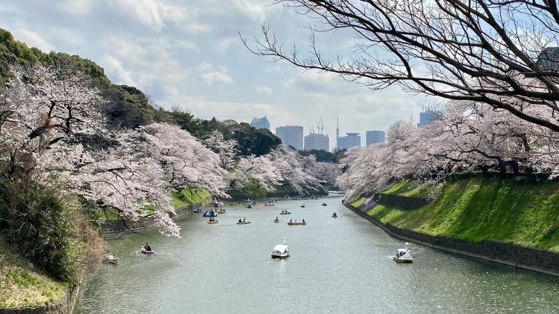 Unique Things To Do In Tokyo: Explore The City Like A Local | LSA HK
