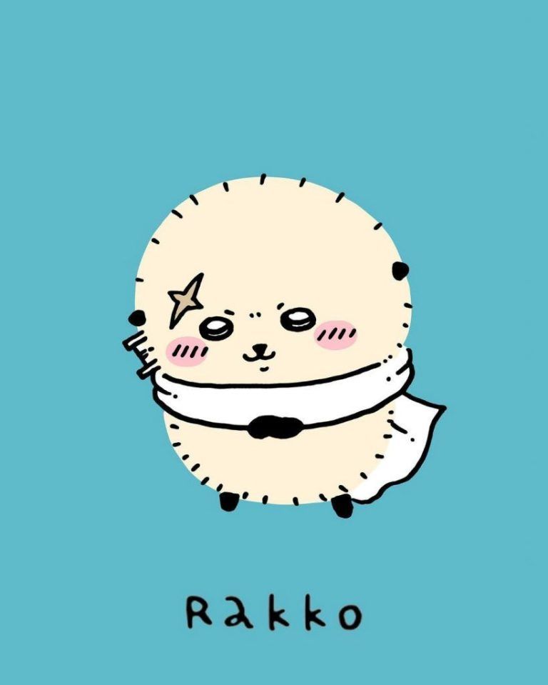 9 things to know about Chiikawa and other characters | LSA HK