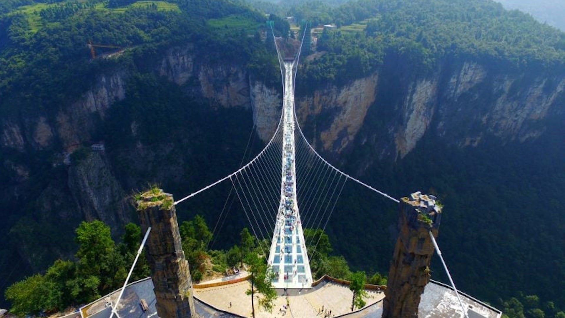 Things to do in Zhangjiajie: National Forest Park, Glass Bridge & more