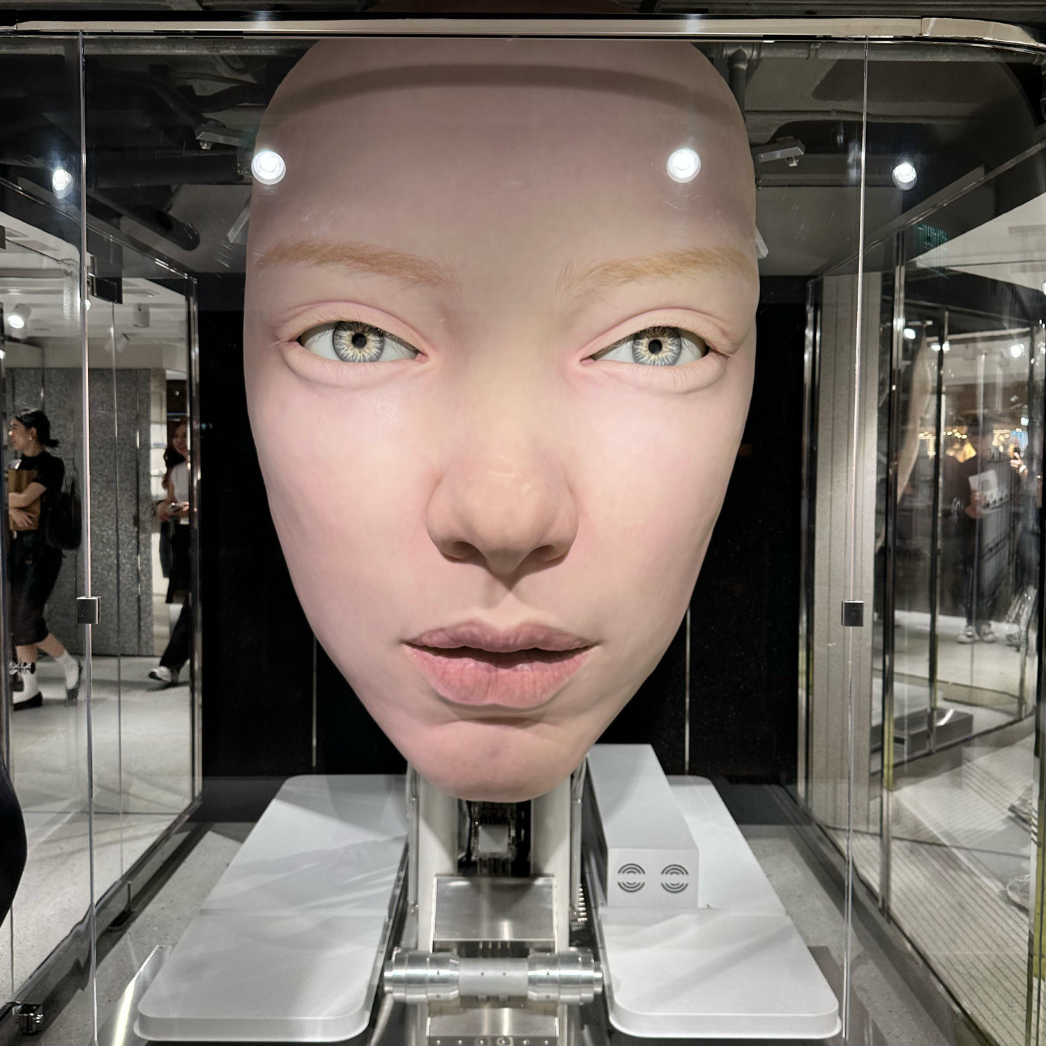 Google Takes 4 Percent Stake in Gentle Monster