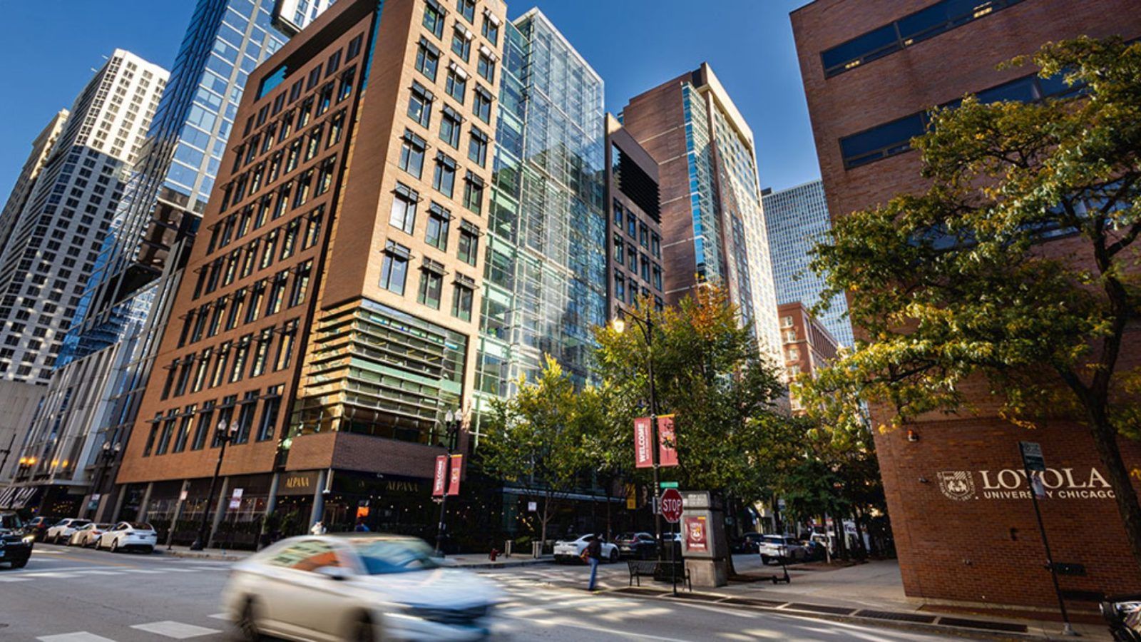 The Bear’ season 4 sizzles with surprise filming locations | LSA HK