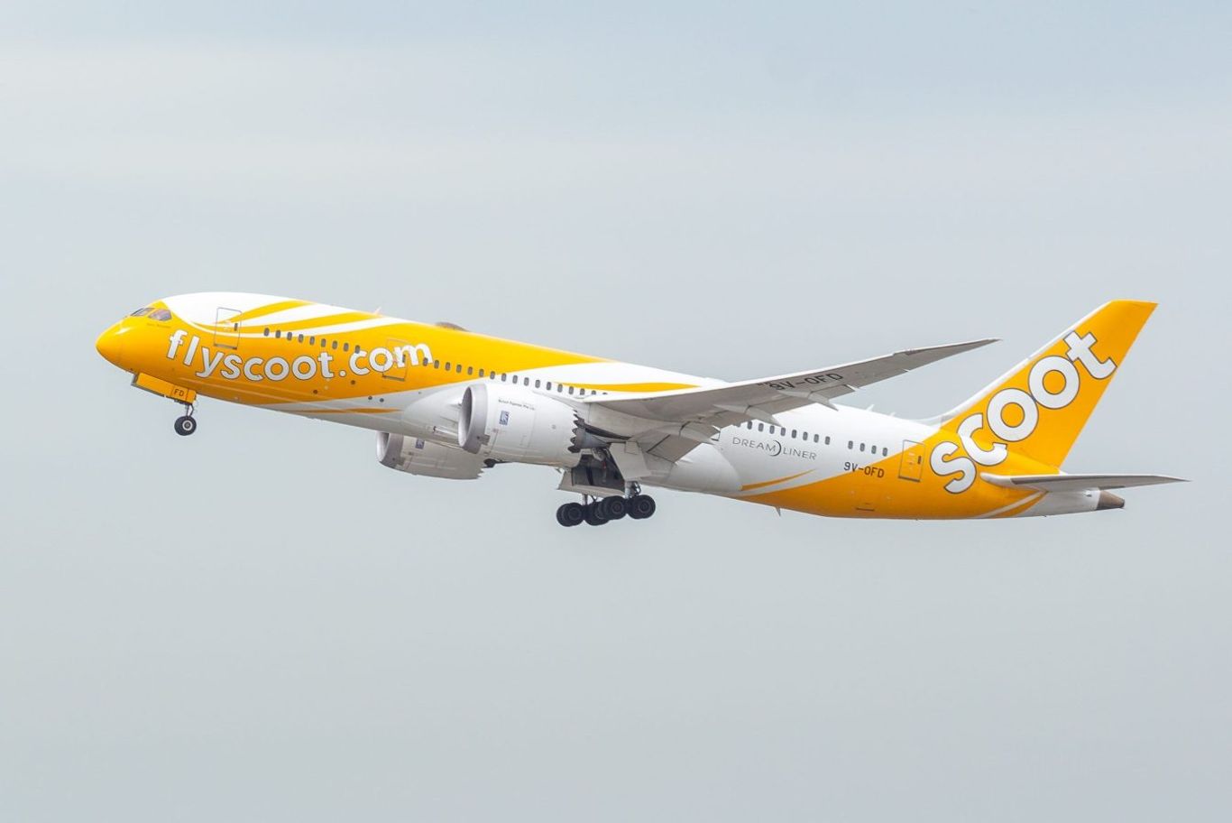 Scoot launches flights to Chiang Rai, Okinawa, Tokyo Haneda | LSA HK