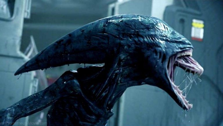 How many Xenomorph types exist in the Alien movies? | LSA Hong Kong