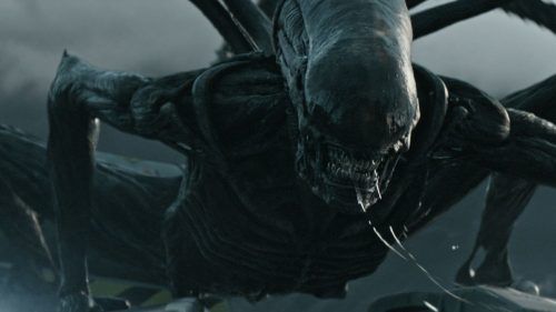 How many Xenomorph types exist in the Alien movies? | LSA Hong Kong