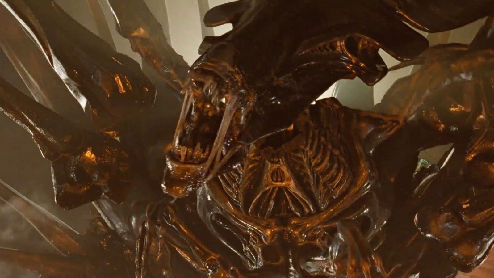 why do xenomorphs have long heads