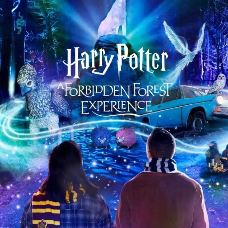 Harry Potter Forbidden Forest experience comes to Shenzhen | LSA HK