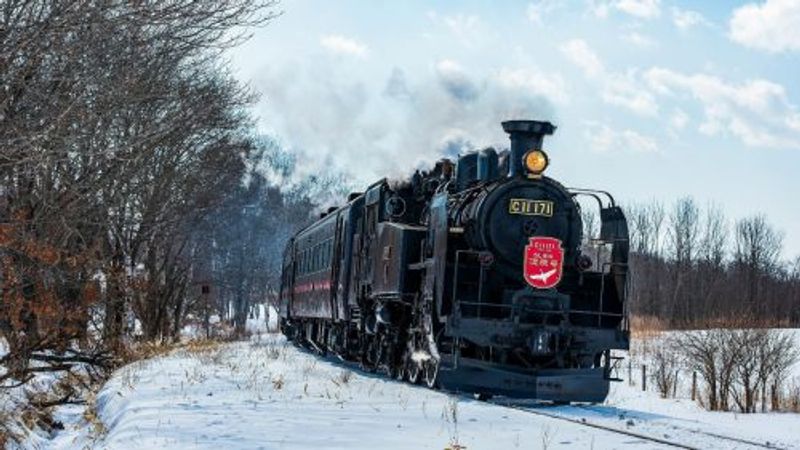 Sai Ying Pun neighbourhood guide: Best places to eat, drink, and explore